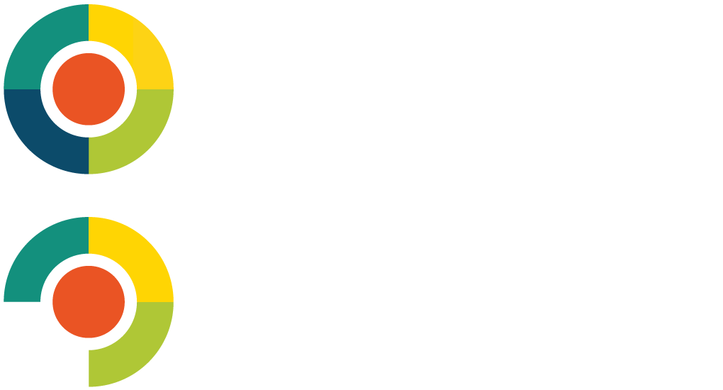 Business Advisors Wellington - IT Systems Consultant NZ