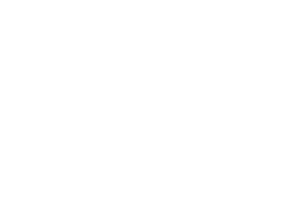 CIO training Course Wellington